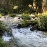 Greer Spring Trail, Missouri - 309 Reviews, Map | AllTrails