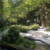 Greer Spring Trail, Missouri - 309 Reviews, Map | AllTrails