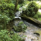 Greer Spring Trail, Missouri - 309 Reviews, Map | AllTrails