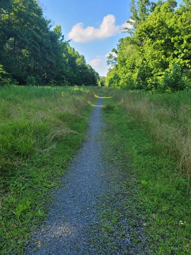 Best Hikes and Trails in Cub Run Stream Valley Park | AllTrails