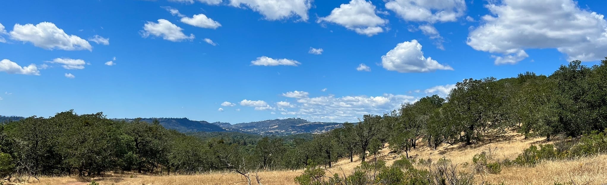 Cobblestone Trail Loop | Map, Guide - California | AllTrails