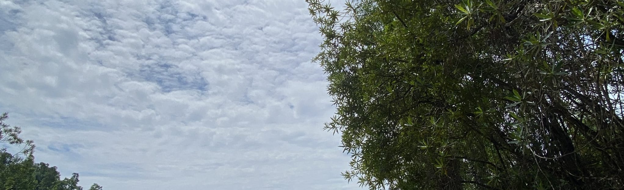 Buntong Falls, Perak, Malaysia - 12 Reviews, Map | AllTrails