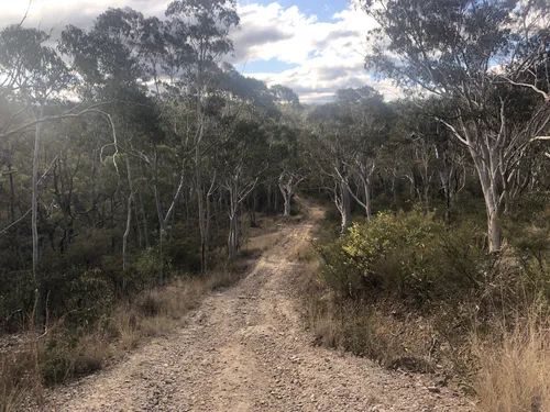 Best Walking Trails in Penrith | AllTrails