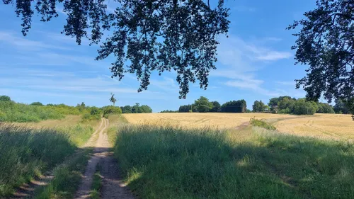 10 Best Trails, Walks, and Paths in Doncaster | AllTrails