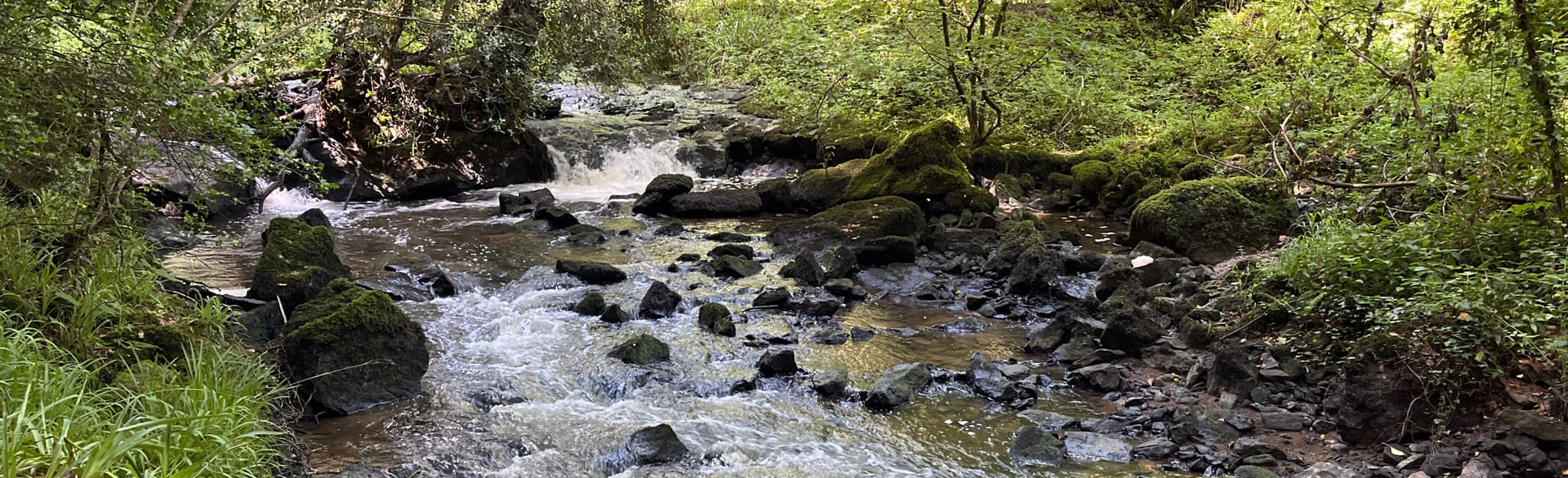 Perrier and Palacret valleys, Côtes-d'Armor, France - 7 Reviews, Map ...