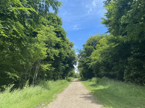 Best Dog-friendly Trails in Petersfield | AllTrails