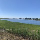 Quonset Point Bike Path, Rhode Island - 295 Reviews, Map | AllTrails