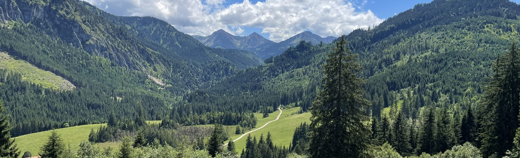 AllTrails | Kappeler Alp from Pfronten (MTB): 5 Reviews, Map - Bavaria ...