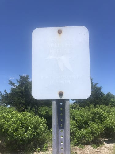 Best Hikes and Trails in Ninigret National Wildlife Refuge | AllTrails