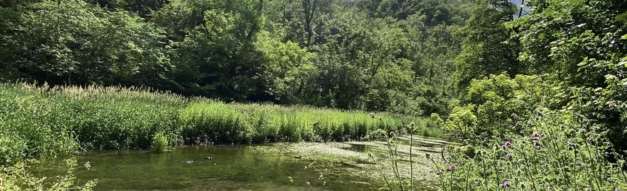 Over Haddon, Lathkill Dale and Limestone Circular: 1.117 foto's ...