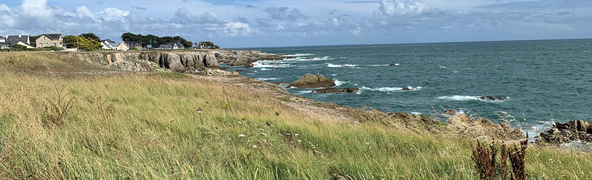 Batz-sur-Mer - Le Pouliguen: The wild coast: 81 foto's - Loire ...