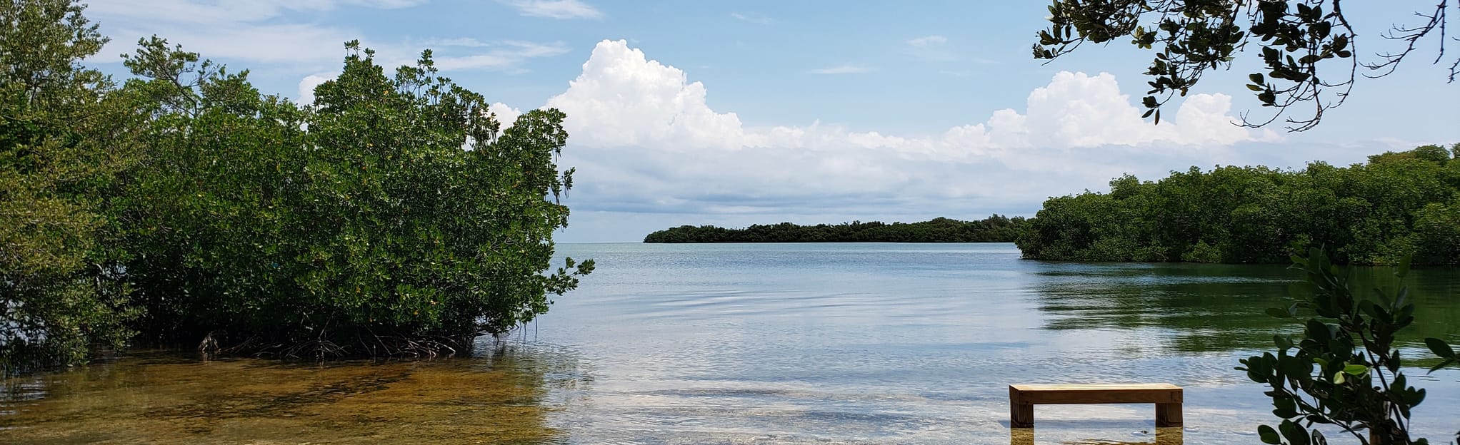 Grassy Key Trail, Florida - 74 Reviews, Map | AllTrails