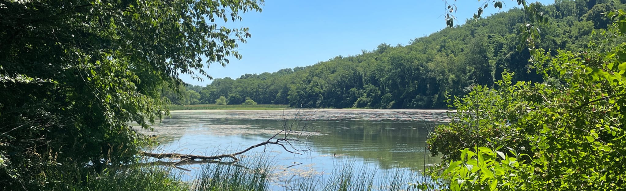 Cross Creek Lakeshore Trail: 29 Reviews, Map - Pennsylvania | AllTrails
