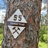 Tinton Trail, South Dakota - 113 Reviews, Map | AllTrails