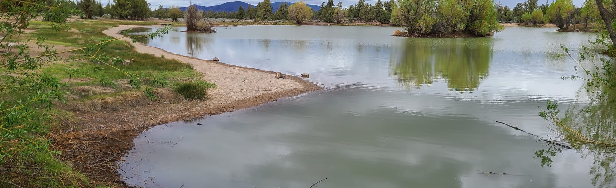 Reynolds Pond Trail, Oregon - 38 Reviews, Map | AllTrails