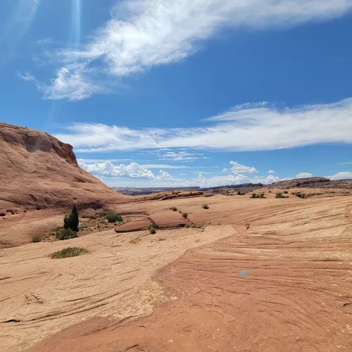 Best Hikes and Trails in Amasa Back Trail System | AllTrails