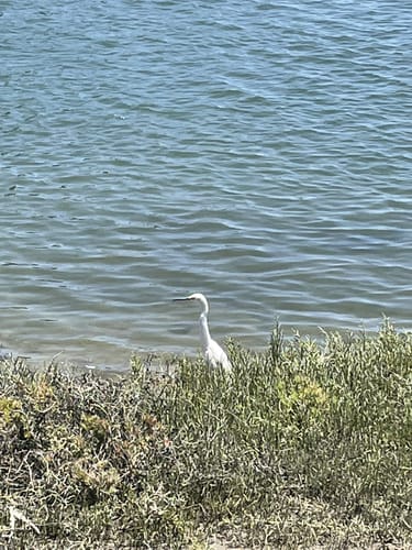 Best Hikes and Trails in Colorado Lagoon Park | AllTrails