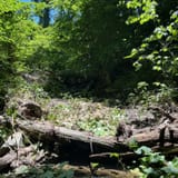 Manitou Point Preserve Trail, New York - 282 Reviews, Map | AllTrails