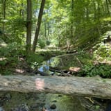 Manitou Point Preserve Trail, New York - 282 Reviews, Map | AllTrails