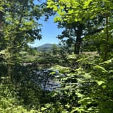 Manitou Point Preserve Trail, New York - 282 Reviews, Map | AllTrails