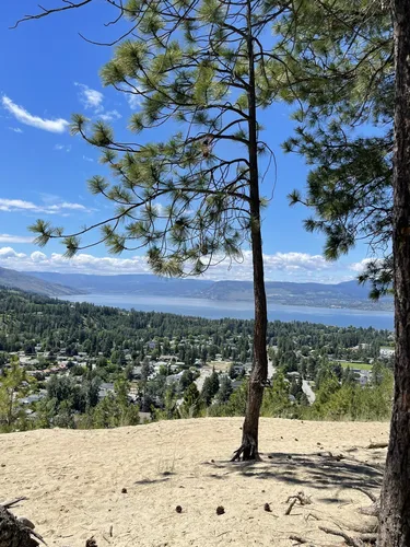 Best Hikes and Trails in Mission Ridge Park | AllTrails