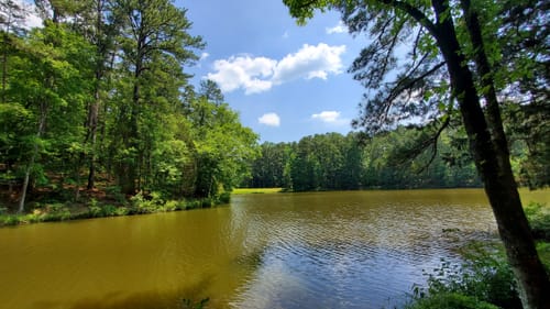 Best 10 Hikes and Trails in William B. Umstead State Park | AllTrails