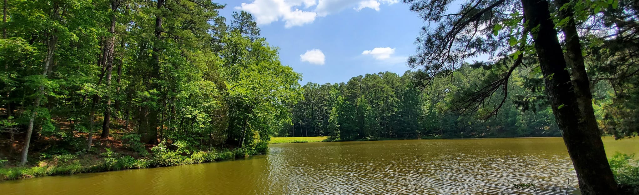 Graylyn Trail: 330 Reviews, Map - North Carolina | AllTrails