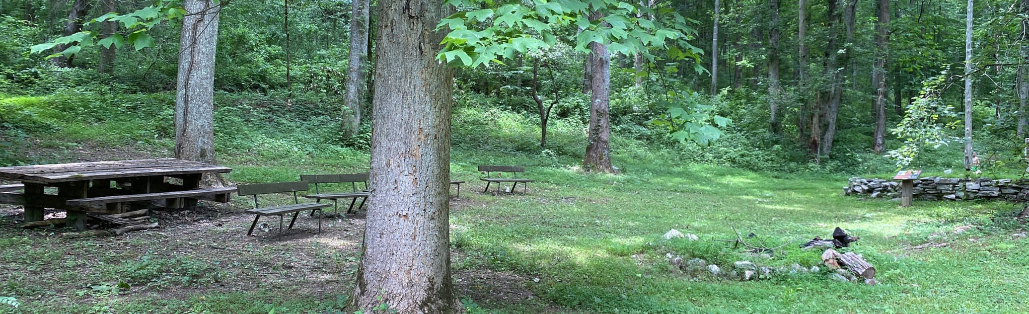 Camp Sam Trail: 36 Reviews, Map - Tennessee | AllTrails