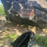 Judges Cave, Connecticut - 381 Reviews, Map | AllTrails
