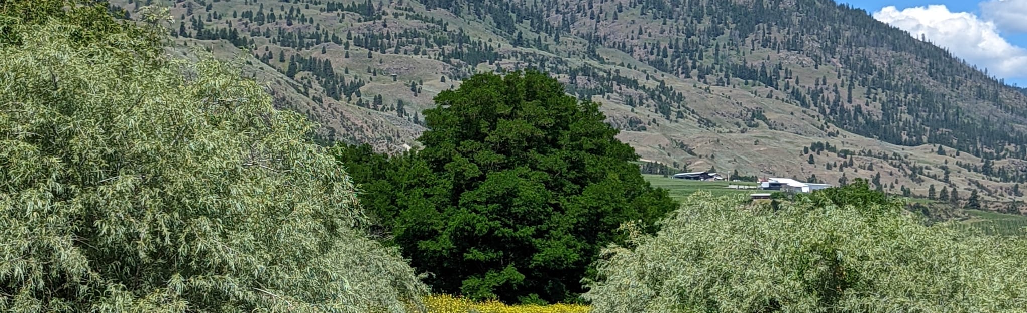 International Hike and Bike Trail, British Columbia, Canada - 82 ...