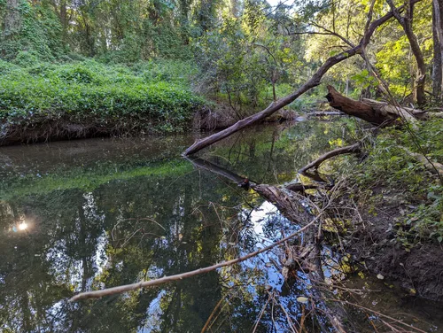 Best Hikes and Trails in Pullen Pullen Creek Bushland Reserve | AllTrails