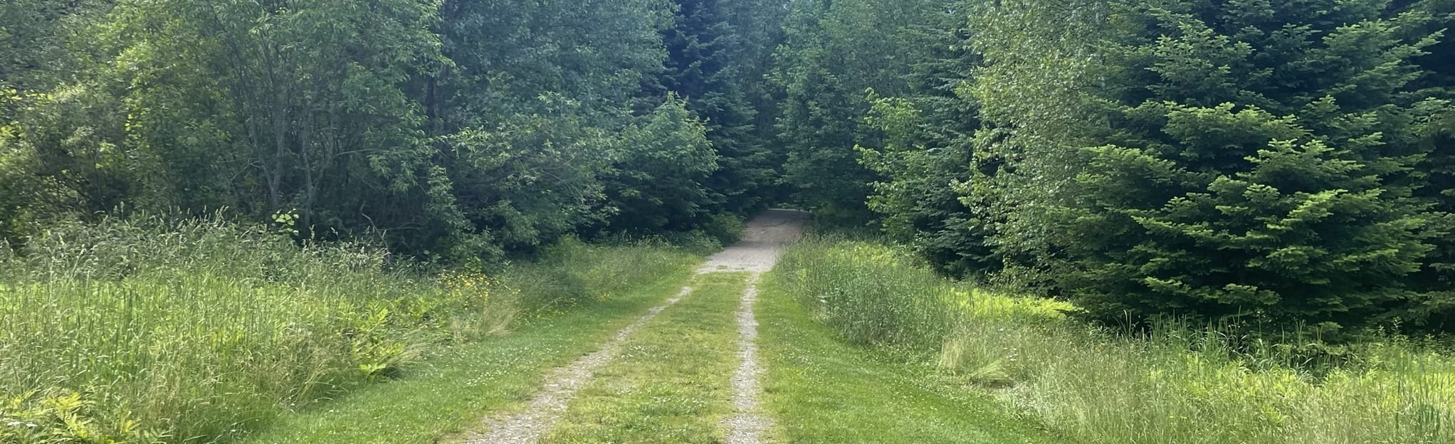 Outerbound, Big Boss, Sugar Maple, River Run, Heavens Loop, Vermont ...