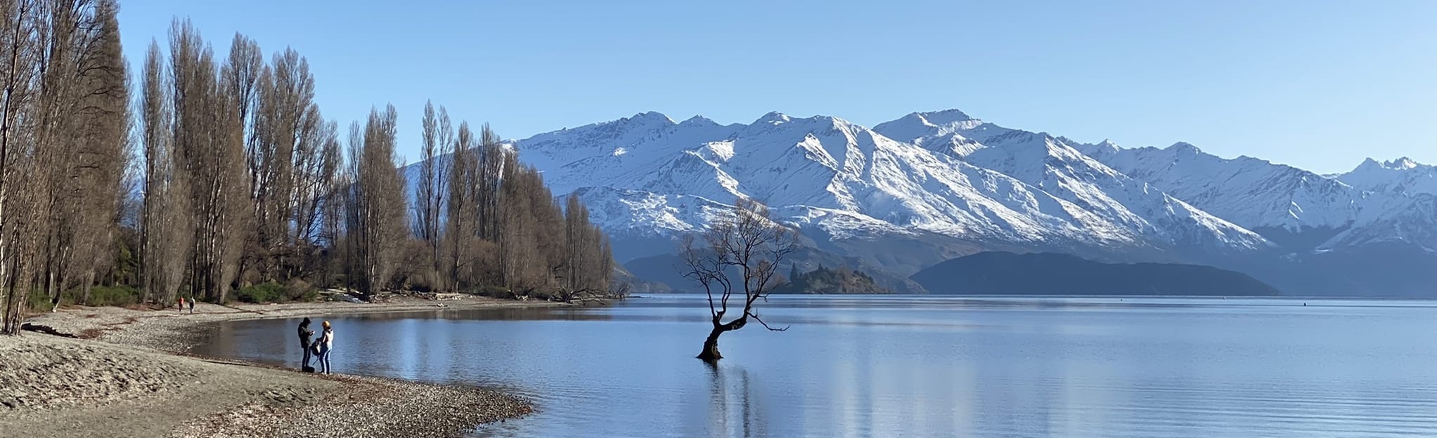 The Wanaka Tree Walk, Otago, New Zealand - 77 Reviews, Map | AllTrails