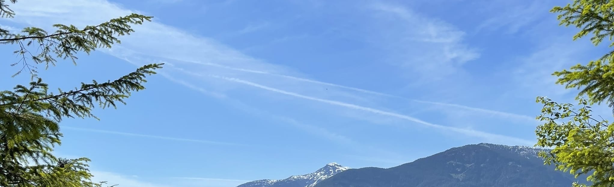 Beth Lake via Furry Downing Road: 54 Reviews, Map - British Columbia ...