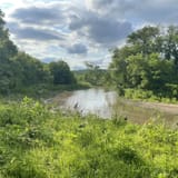 Zumbro River Trail, Minnesota - 174 Reviews, Map | AllTrails