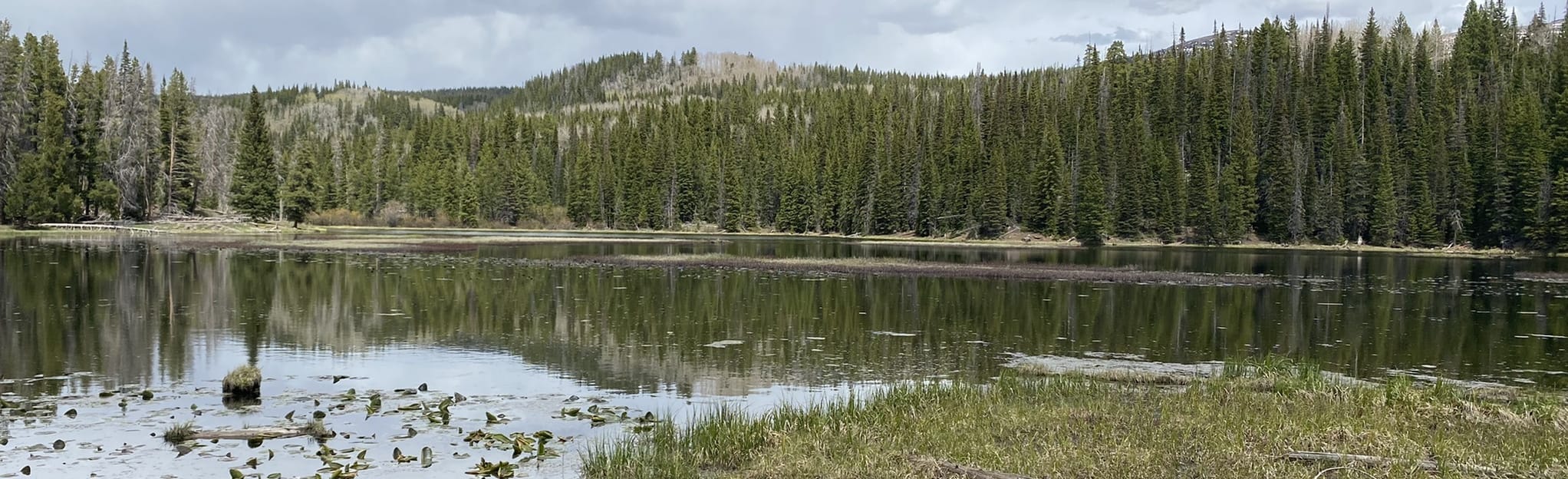 Anderson Reservoir, Colorado - 4 Reviews, Map | AllTrails