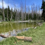Alpine Pond North Loop, Utah - 224 Reviews, Map | AllTrails
