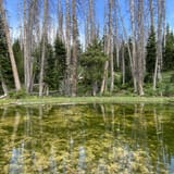 Alpine Pond North Loop, Utah - 224 Reviews, Map | AllTrails
