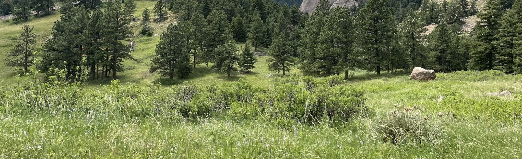 N.C.A.R to Mesa to Fern Canyon: 803 Reviews, Map - Colorado | AllTrails