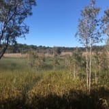 Deagon Wetlands Loop, Queensland, Australia - 32 Reviews, Map | AllTrails