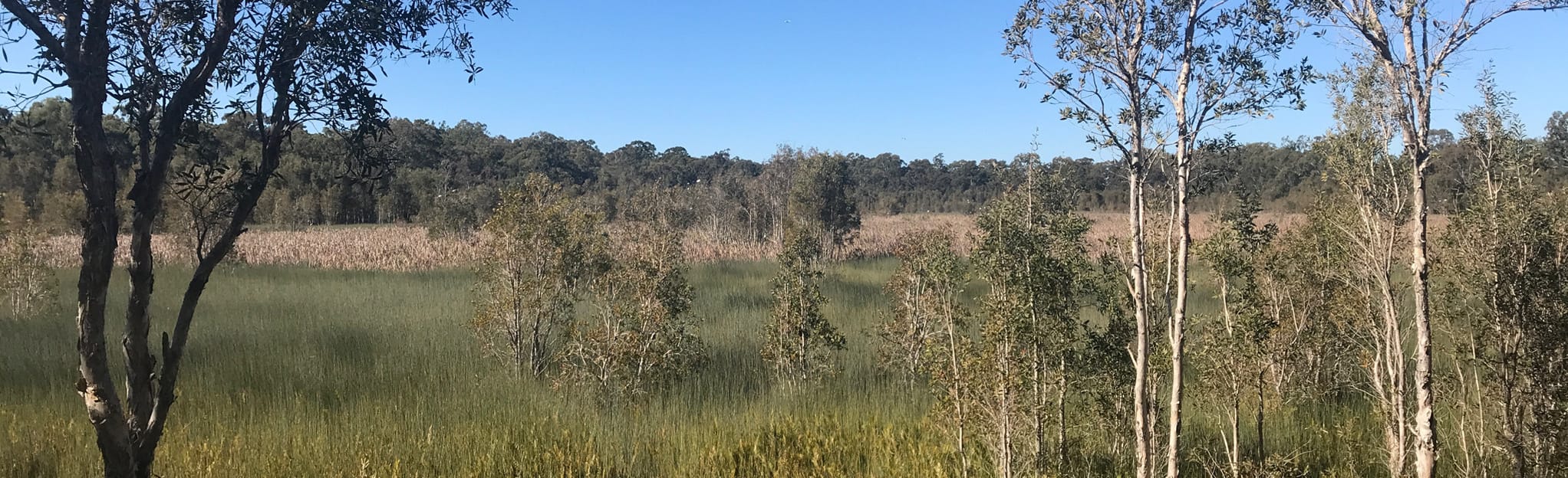 Deagon Wetlands Loop: 61 foto's - Queensland, Australië | AllTrails