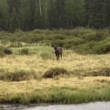 Sentinel Point Trail, Colorado - 163 Reviews, Map | AllTrails