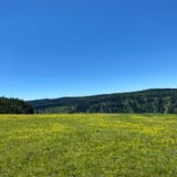 Umatilla Rim Trail, Oregon - 45 Reviews, Map | AllTrails