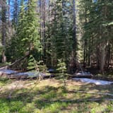 Umatilla Rim Trail, Oregon - 45 Reviews, Map | AllTrails