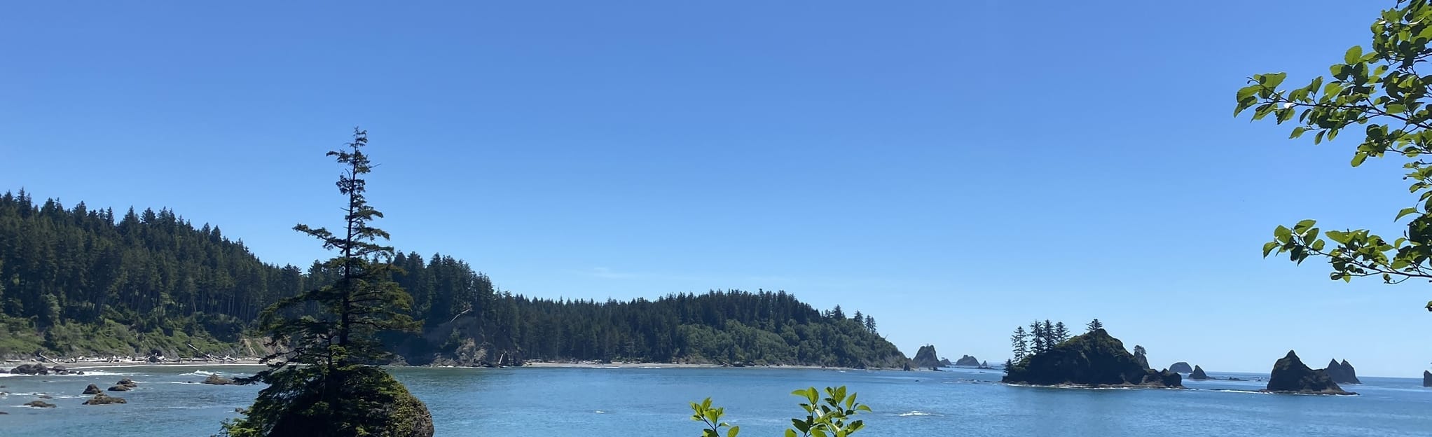 Third Beach Trail to Taylor Point: 736 Reviews, Map - Washington ...