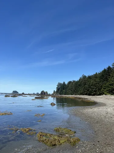 Best Hikes and Trails in La Push | AllTrails