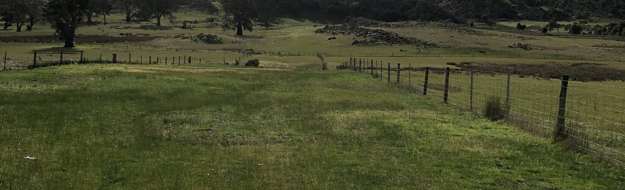 Eden Valley Loop, South Australia, Australia - 5 Reviews, Map | AllTrails