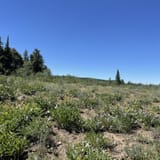 Eagle Loop, Idaho - 103 Reviews, Map | AllTrails