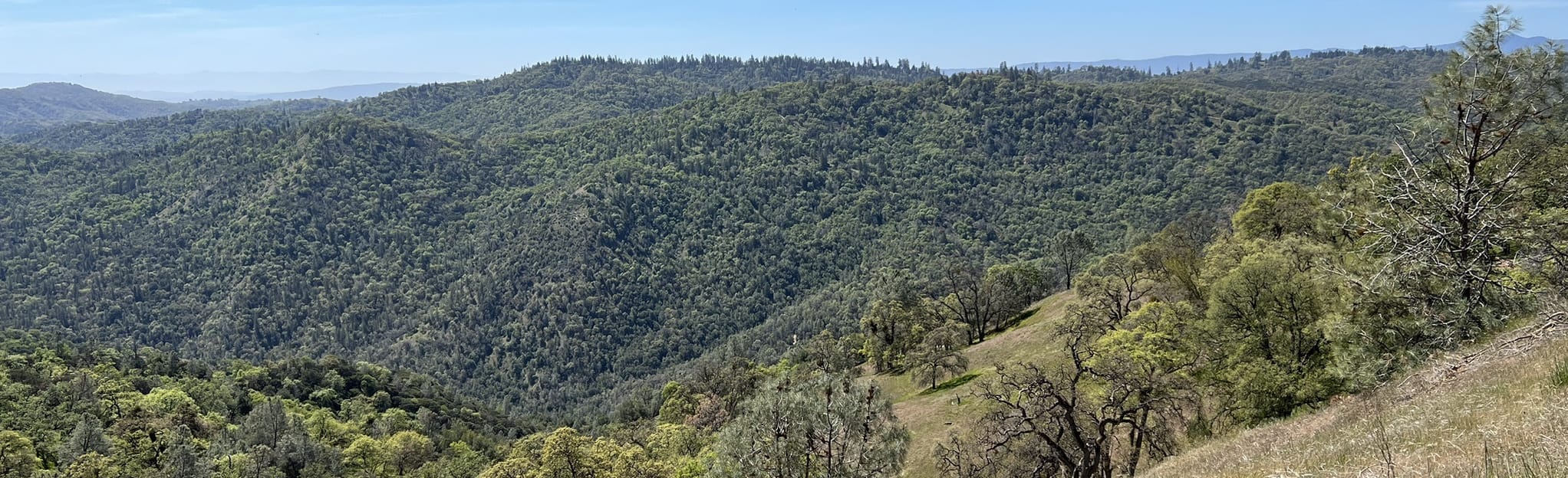 Big Lookout Mountain: 9 Reviews, Map - Oregon | AllTrails