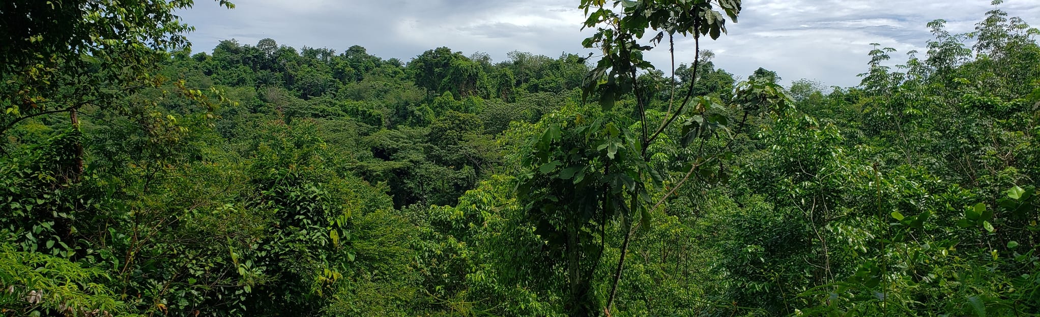 Bukit Gasing - Stairway To Heaven Loop, Selangor, Malaysia - 578 ...
